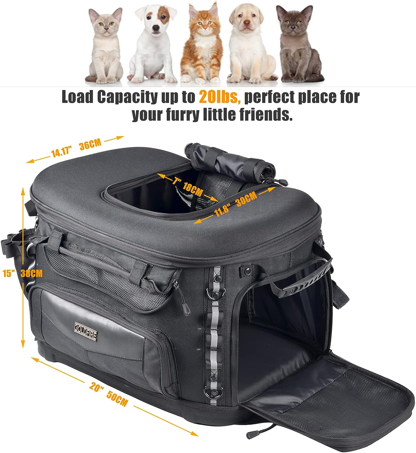 Hutexico Motorcycle Dog Carrier Review - Vital Wellness for Dogs